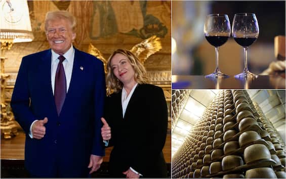 Dazi all’Italia, Trump: 'Vedremo. Meloni mi piace molto”. I possibili effetti sull’export | Sky TG24