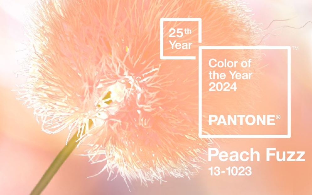 Pantone 2025, Mocha Mousse è il colore del prossimo anno | Sky TG24