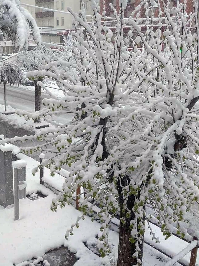 Abruzzo, a Roccaraso torna la neve. FOTO | Sky TG24