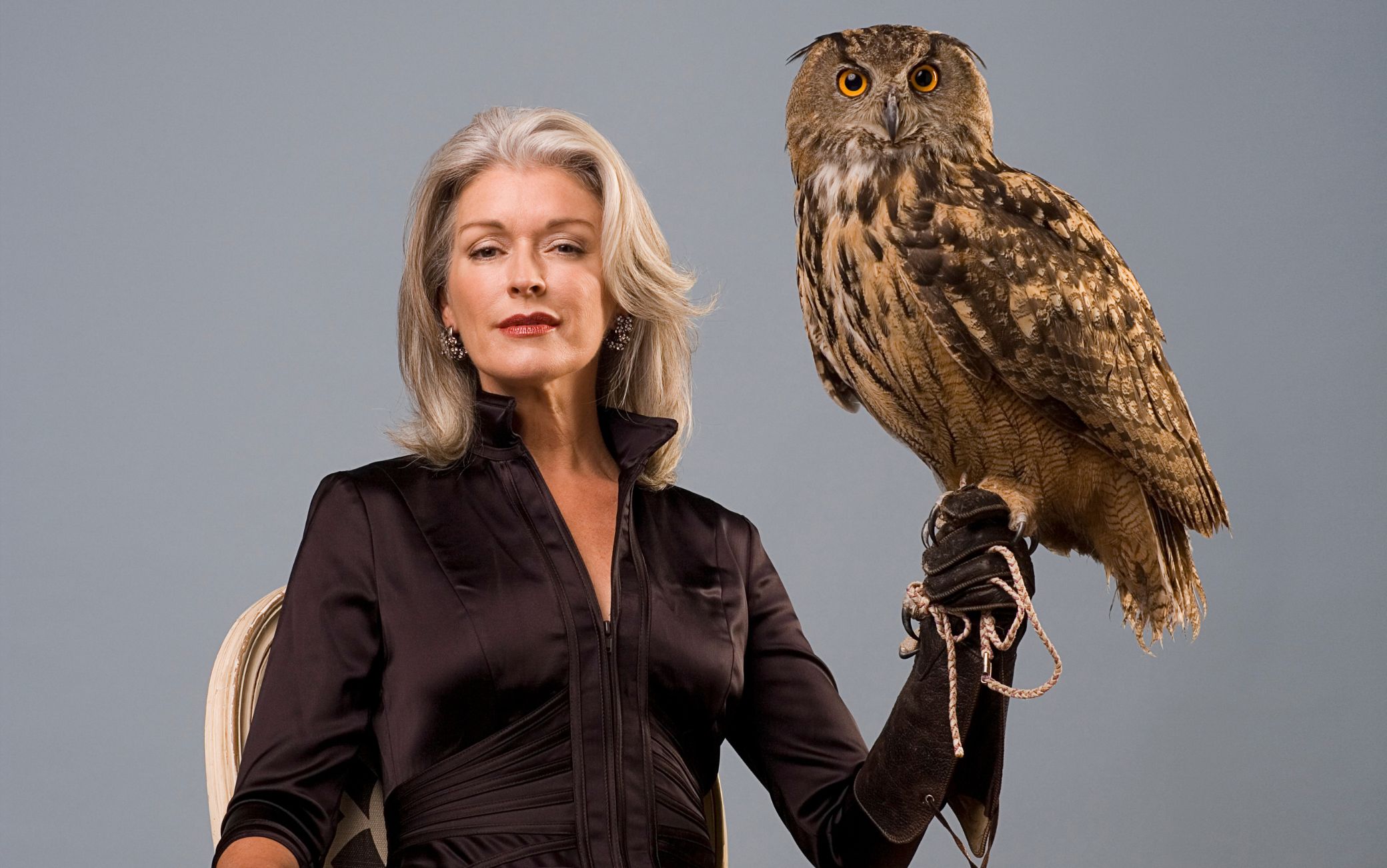 Giornata mondiale del gufo: 10 curiosità da conoscere. FOTO | Sky TG24