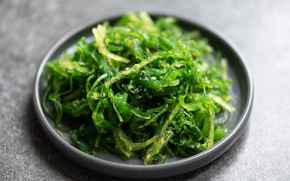 Mangiare alghe, benefici e dubbi su questo alimento: cosa sapere | Sky TG24