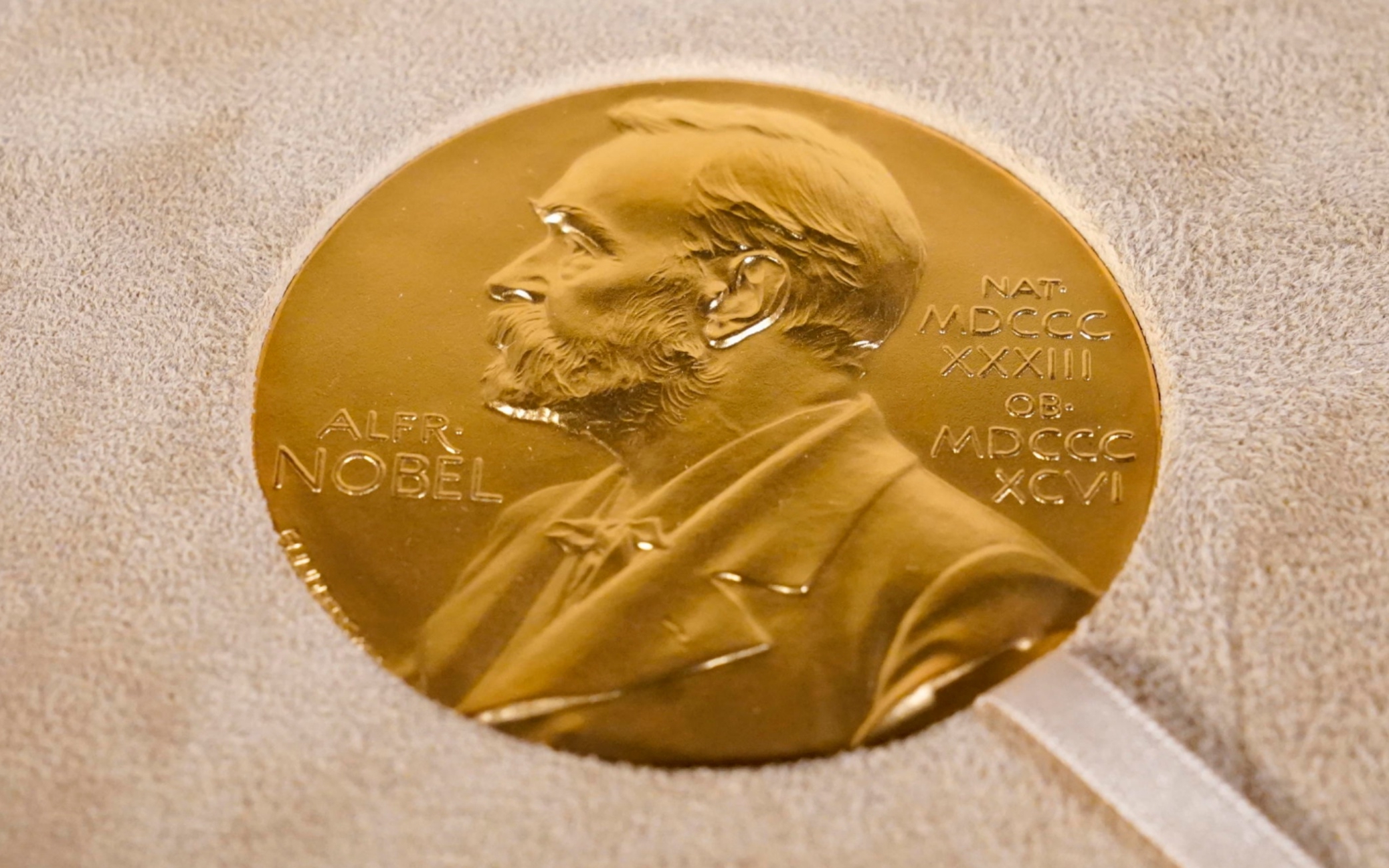 Premi Nobel 2023, tutti i vincitori: da Fosse a Mohammadi. Foto | Sky TG24