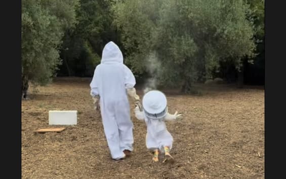 Markle and Lilibet charmed social media as beekeepers | News Minimalist