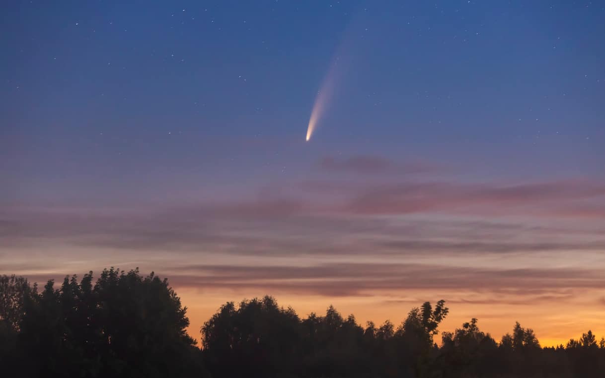 Meteore Orionidi 2025, come e quando vedere le stelle cadenti | Sky TG24
