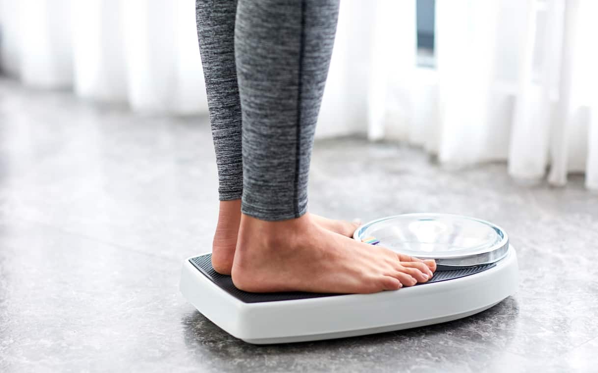 Saritaktty kemono mio was fantastic! The experience was a