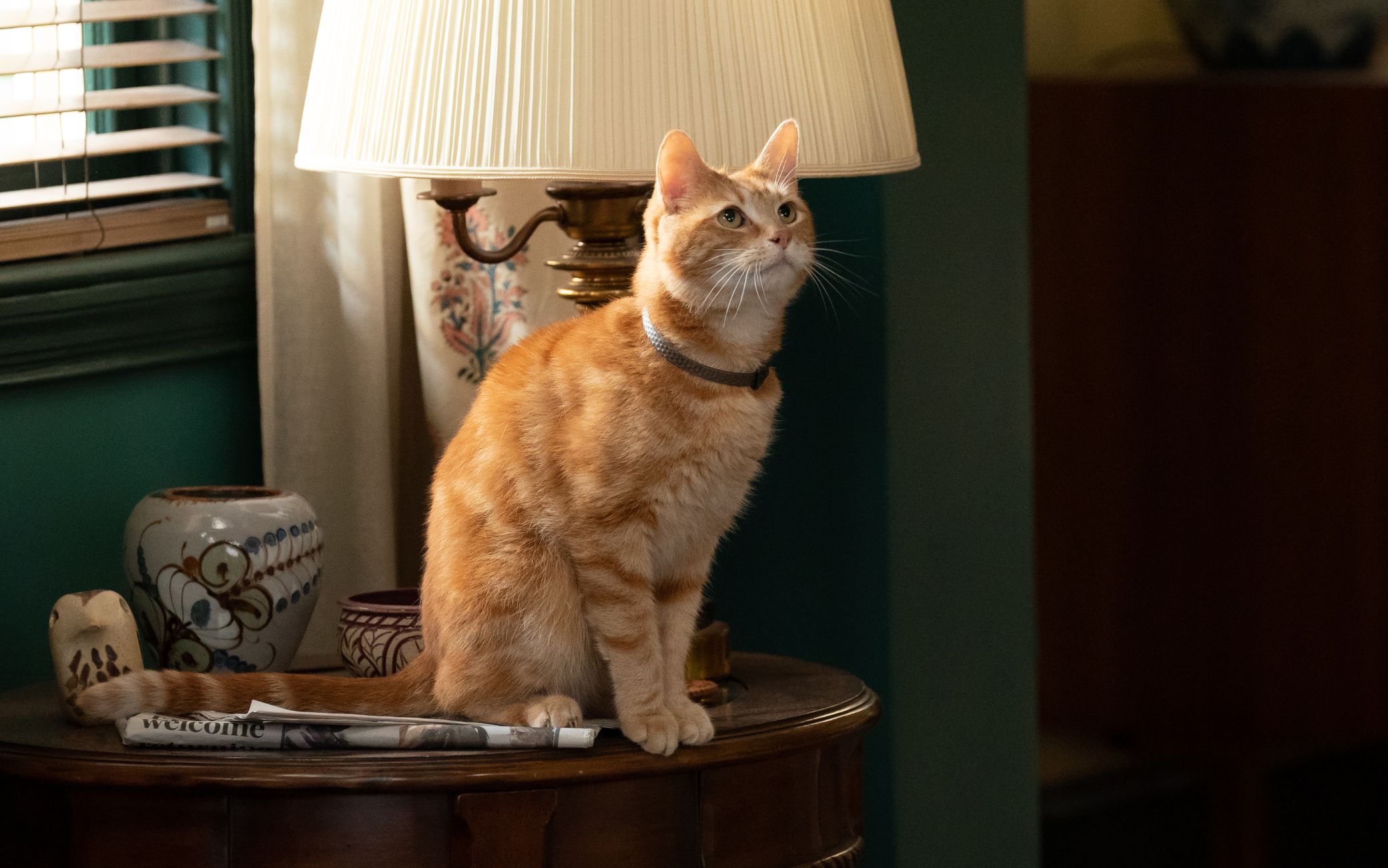 The Marvels, Milano dà il benvenuto al cinecomic coi gatti