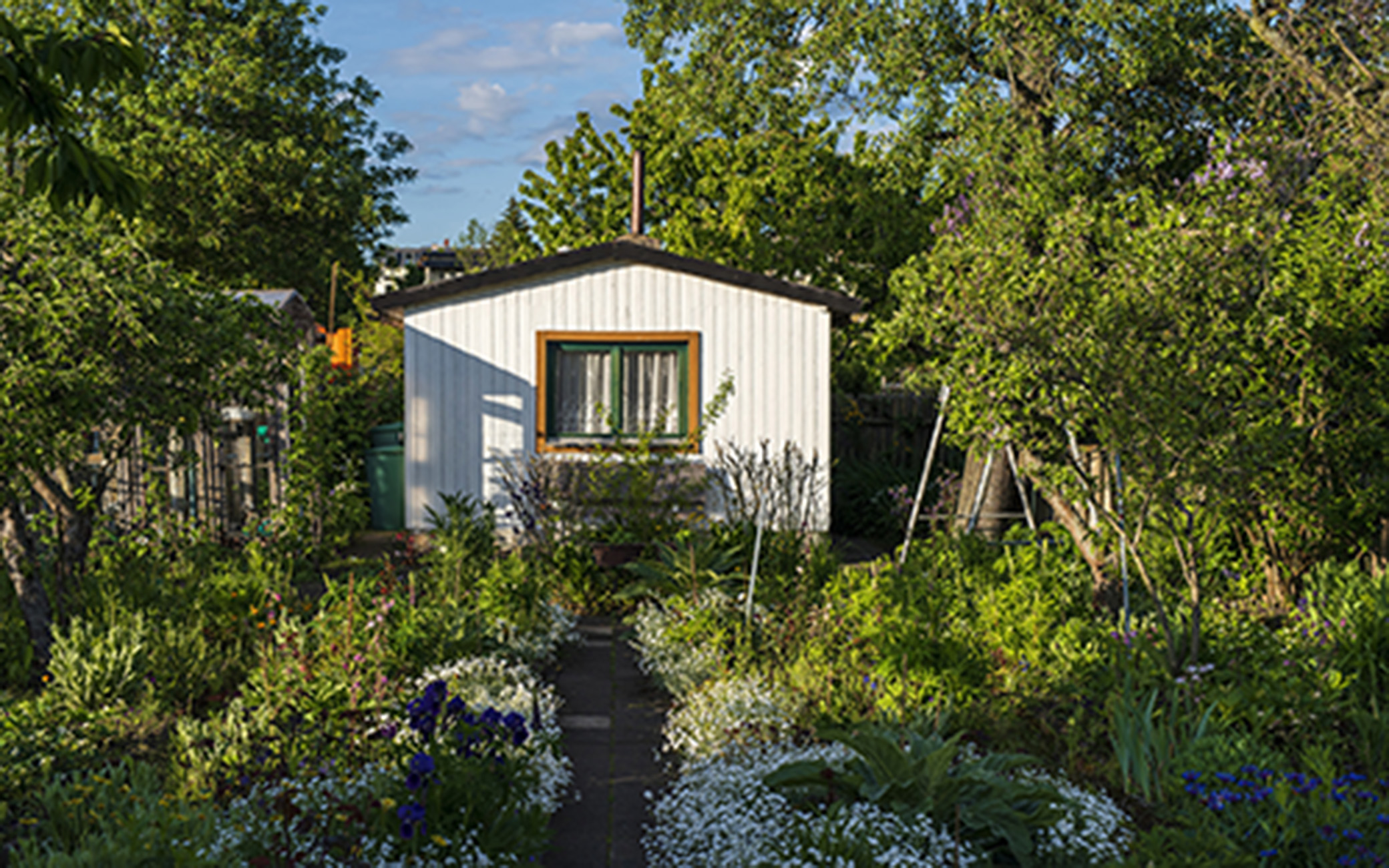 Orto-mania per il 62% degli italiani. I 10 consigli da seguire | Sky TG24