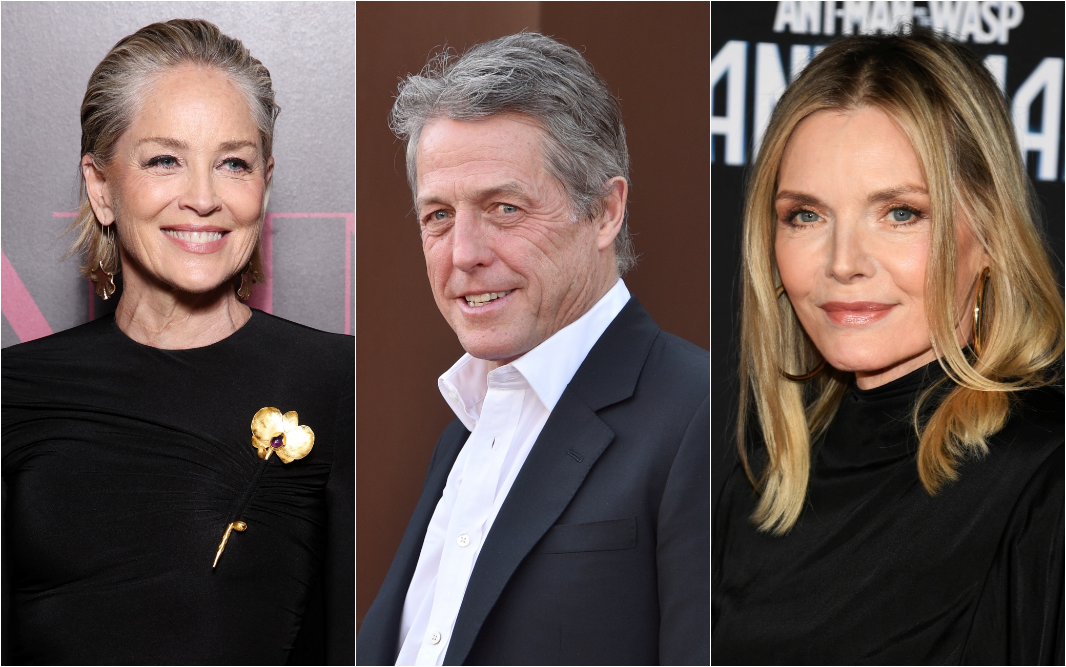 Non solo Brad Pitt, 20 attori e celebrity over 60 che resistono meglio ...