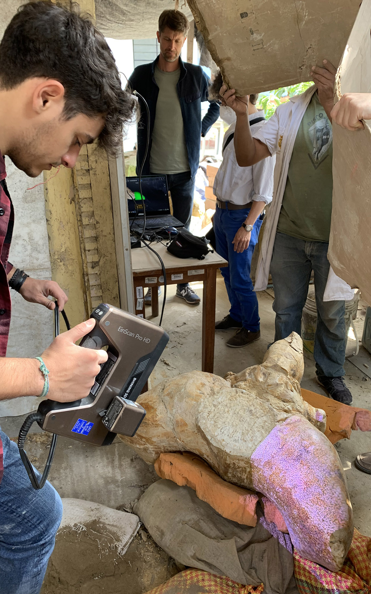 Perucetus colossus, animale più pesante mai esistito scoperto in Perù ...