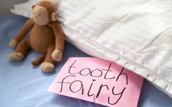 Usa, regalo medio della fatina dei denti per i bambini passa da 2 a 6 ...