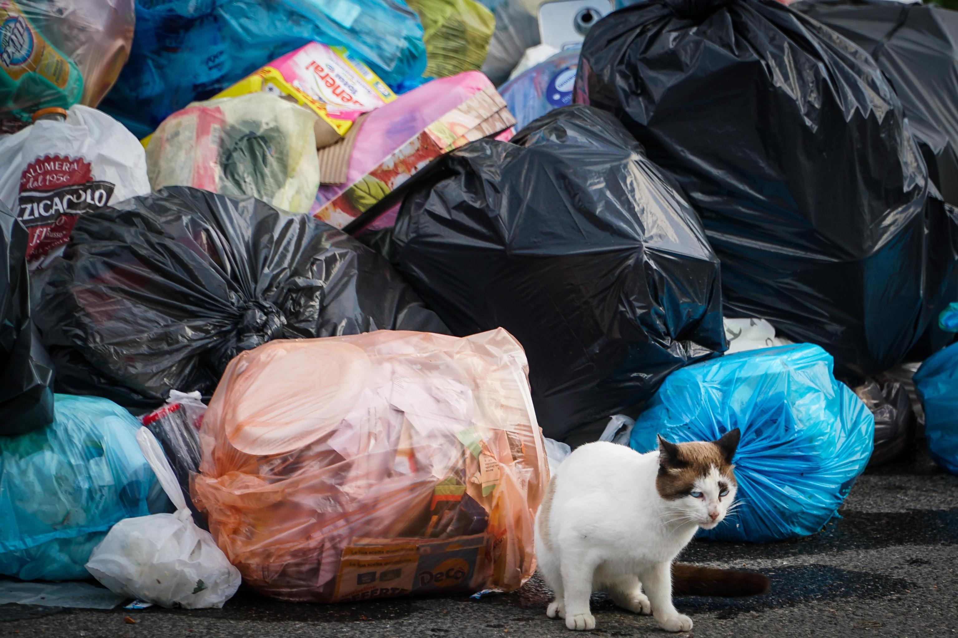 Raccolta differenziata, la guida ai simboli del riciclo sulle ...