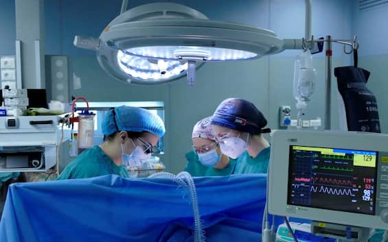 Usa, cuore di maiale trapiantato in un uomo con malattia cardiaca ...