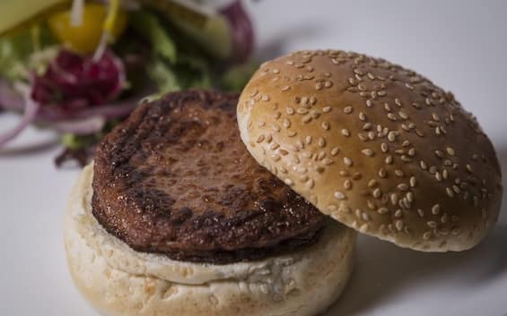 Hamburger Fileni Bio richiamati per rischio salmonella: i lotti ...