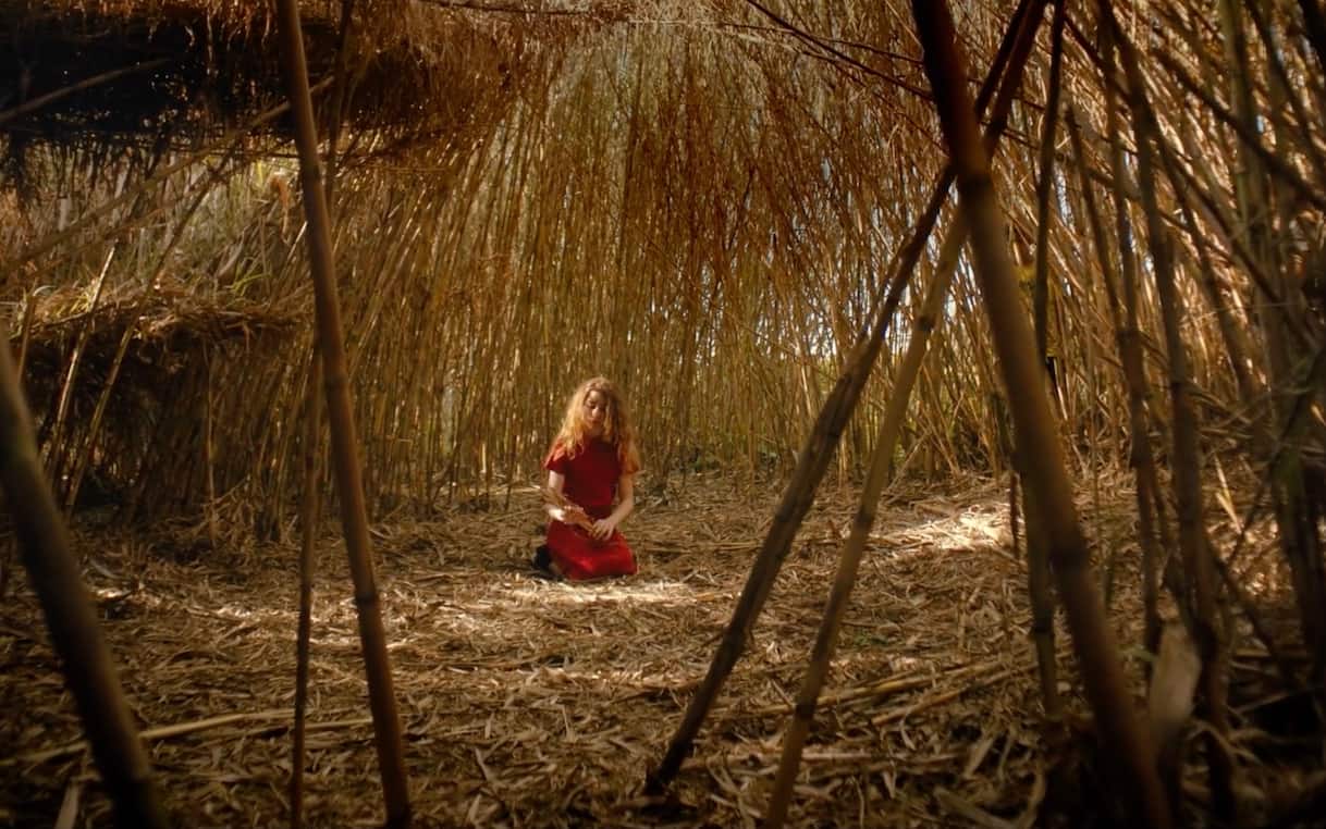 Tutti giù per terra di Marco Simon Puccioni ad Alice nella Città con ...