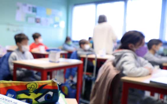 Treviso, maestra assunta il lunedì e licenziata il martedì per 10 mesi ...