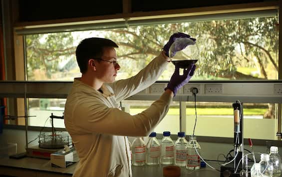 Brodo primordiale: ecco la ricetta dell'origine della vita sulla Terra