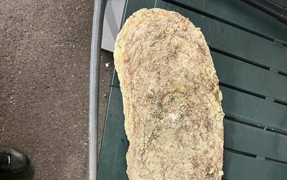 Spiagge sarde depredate: Pinna Nobilis nel bagagliaio auto | Sky TG24