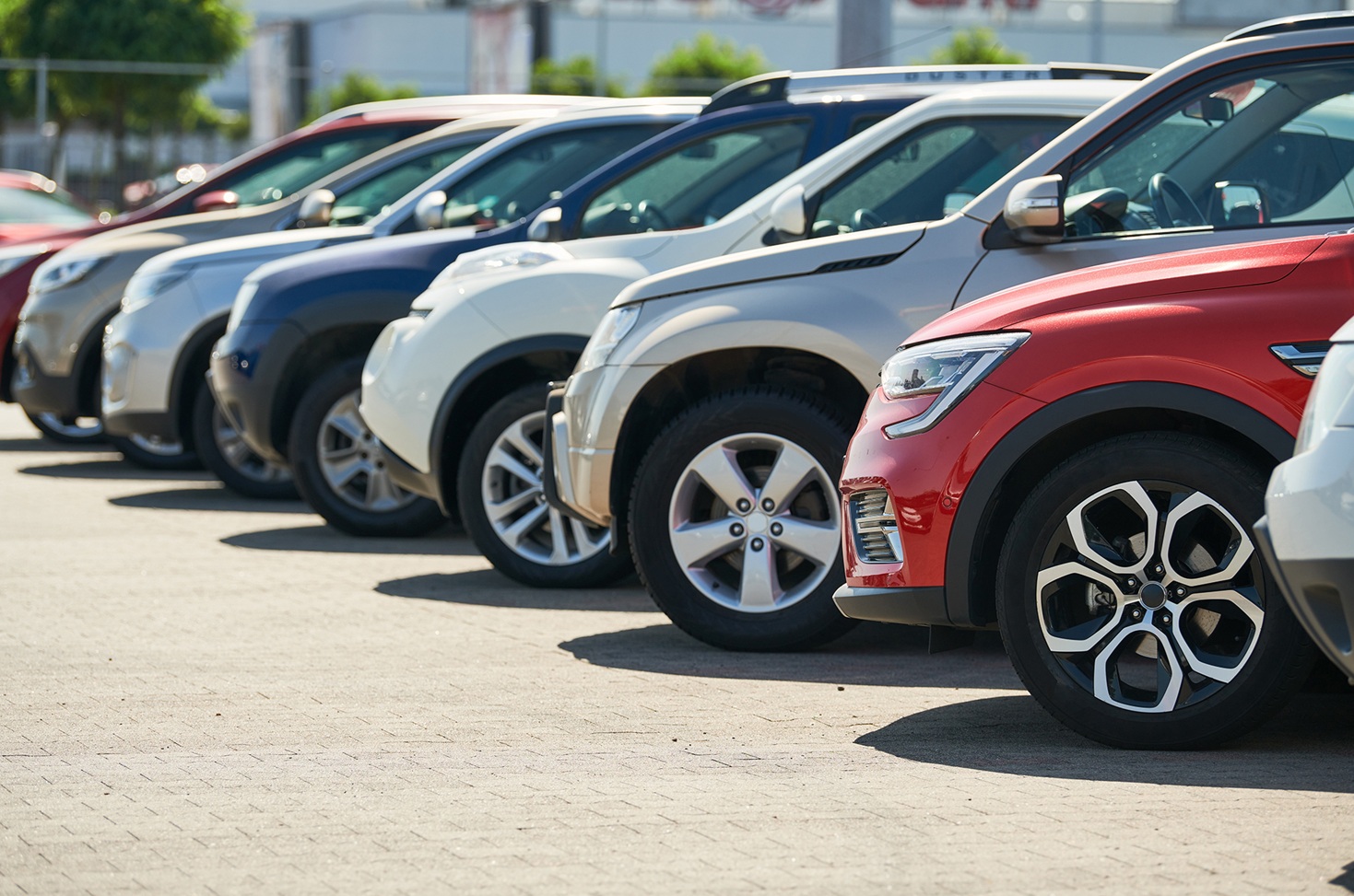 Boom di vendite di auto usate in Italia: ecco lo studio | Sky TG24
