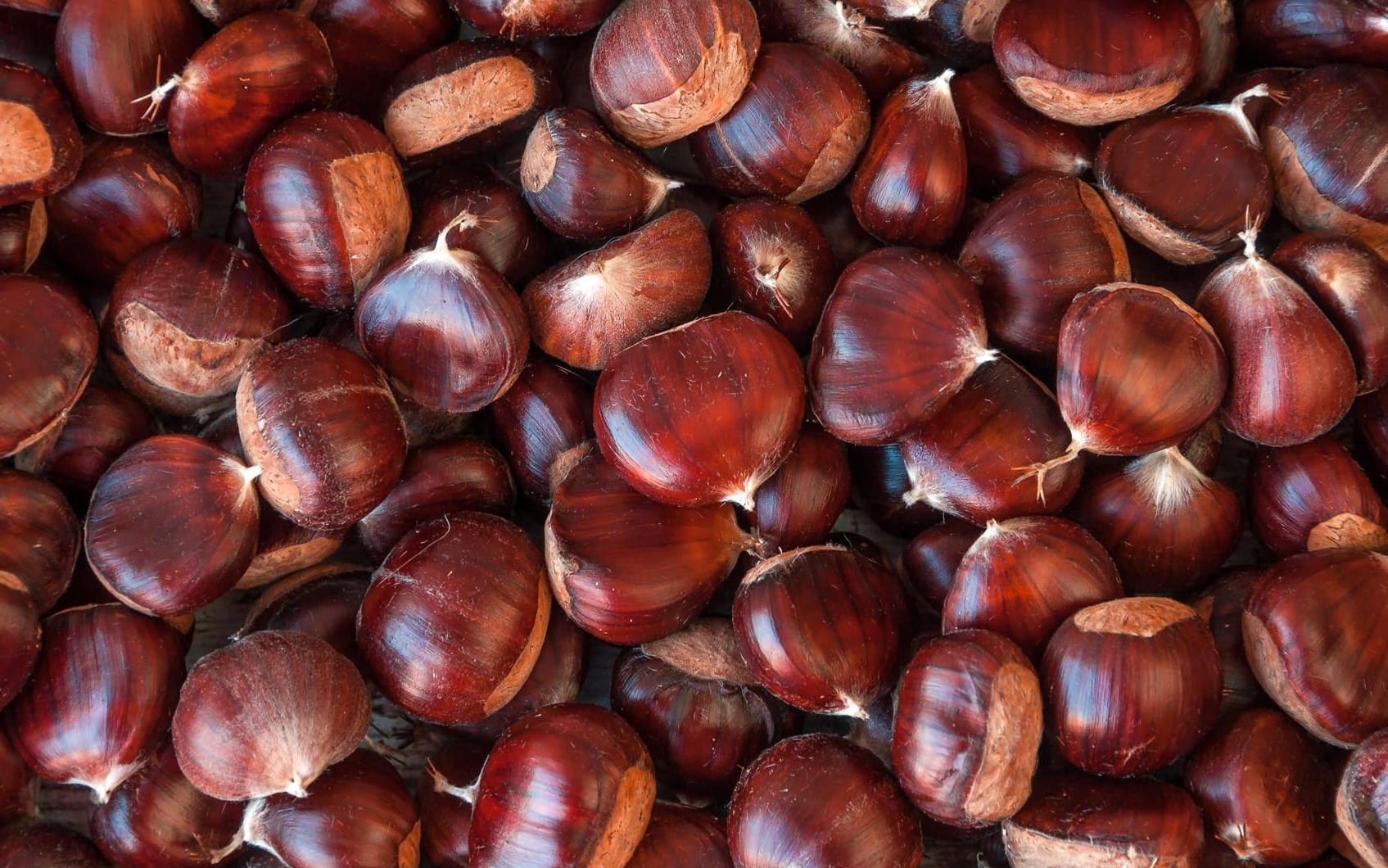 Raccolta castagne, luoghi e sagre dove trovare marroni e caldarroste ...