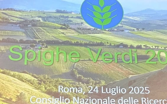 Spighe Verdi 2025, 90 Comuni rurali virtuosi regione per regione | Sky TG24