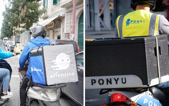 Cosa sono e come funzionano PonyU e Alfonsino, il delivery a portata di ...