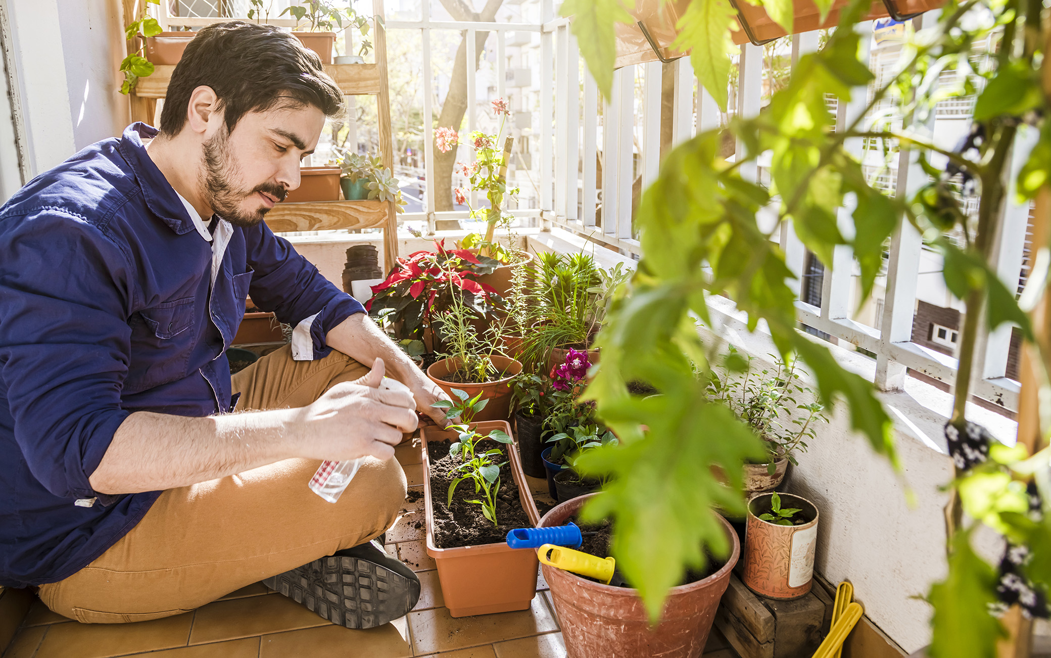 Orto-mania per il 62% degli italiani. I 10 consigli da seguire | Sky TG24