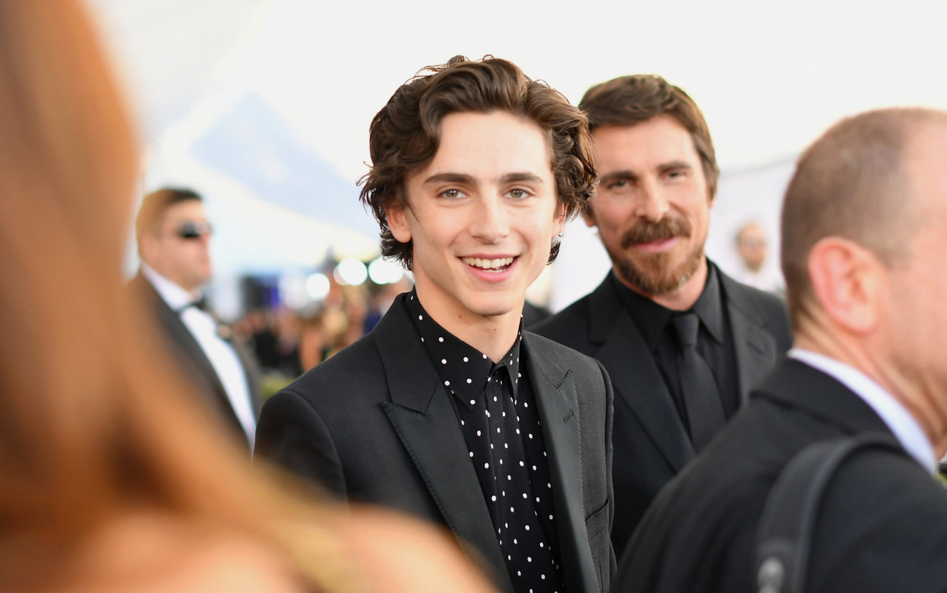 Timothée Chalamet: le foto più belle dell'attore