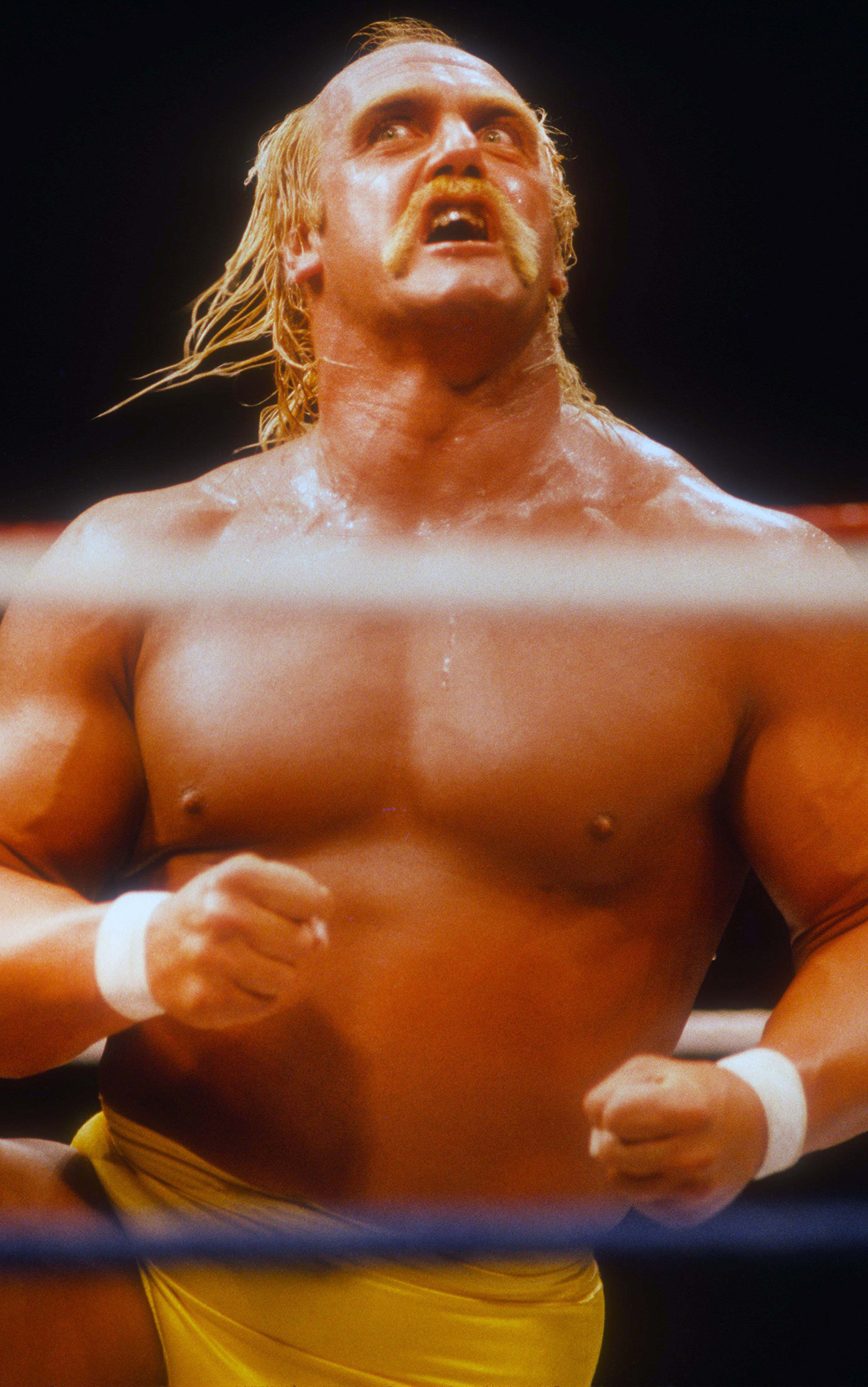 Compleanno Hulk Hogan, i 70 anni: ieri e oggi. Foto | Sky TG24
