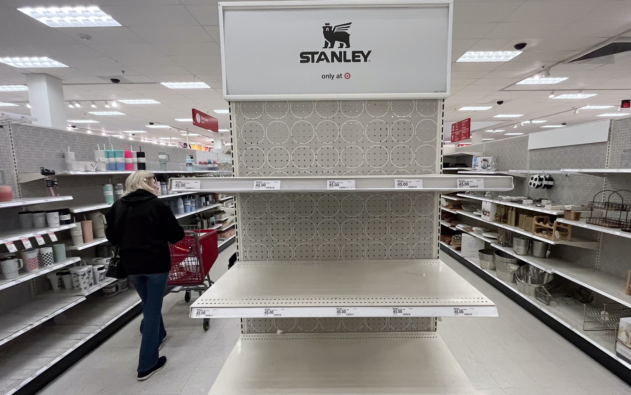 Il caso delle Stanley Cups, diventano un trend su TikTok e vanno a ruba ...