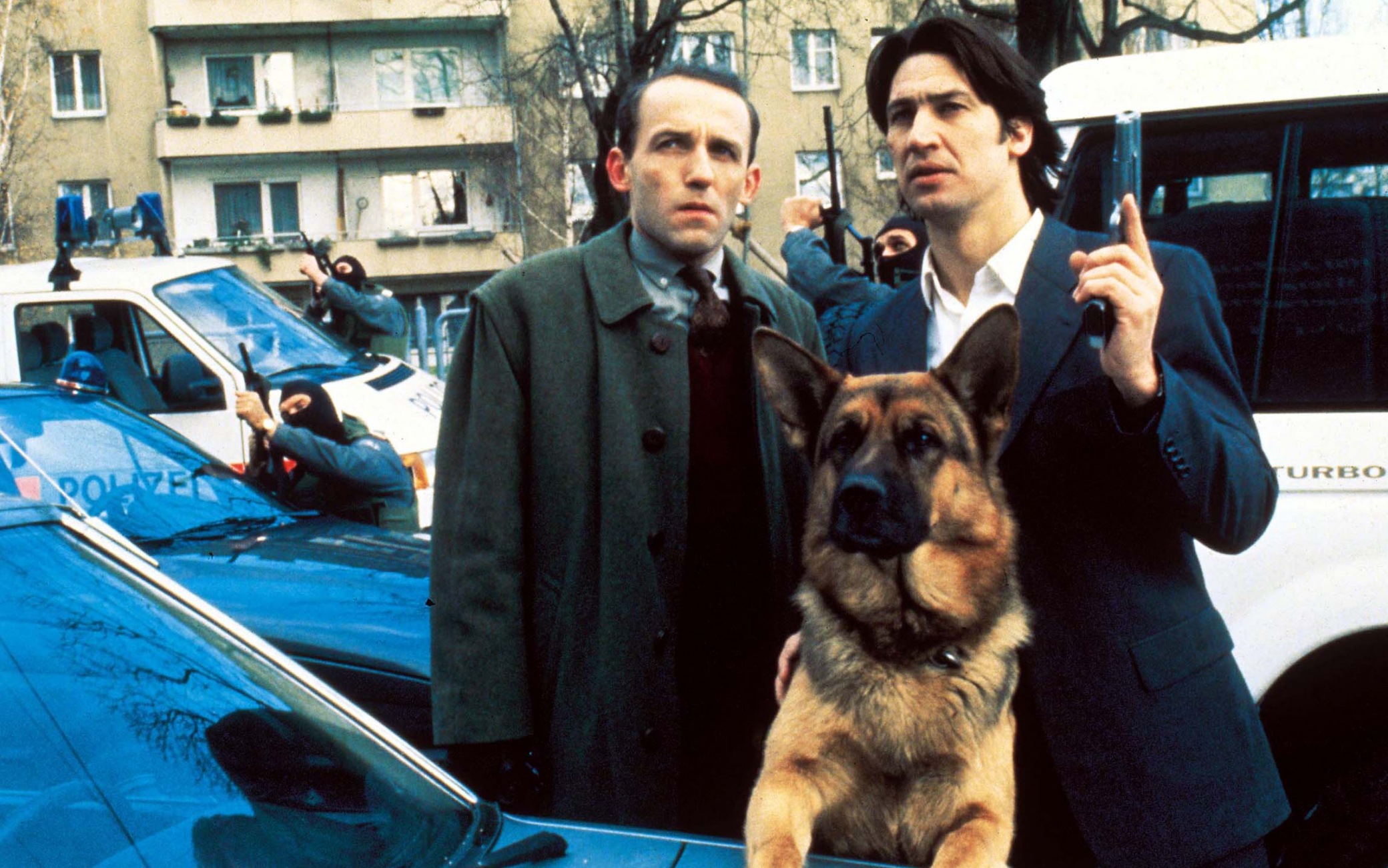 'Il Commissario Rex', 30 anni fa il debutto della serie tv cult: 11 ...