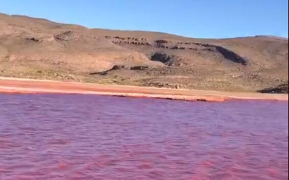 Egitto, fiume Nilo si tinge di rosso come nella profezia biblica: ecco ...