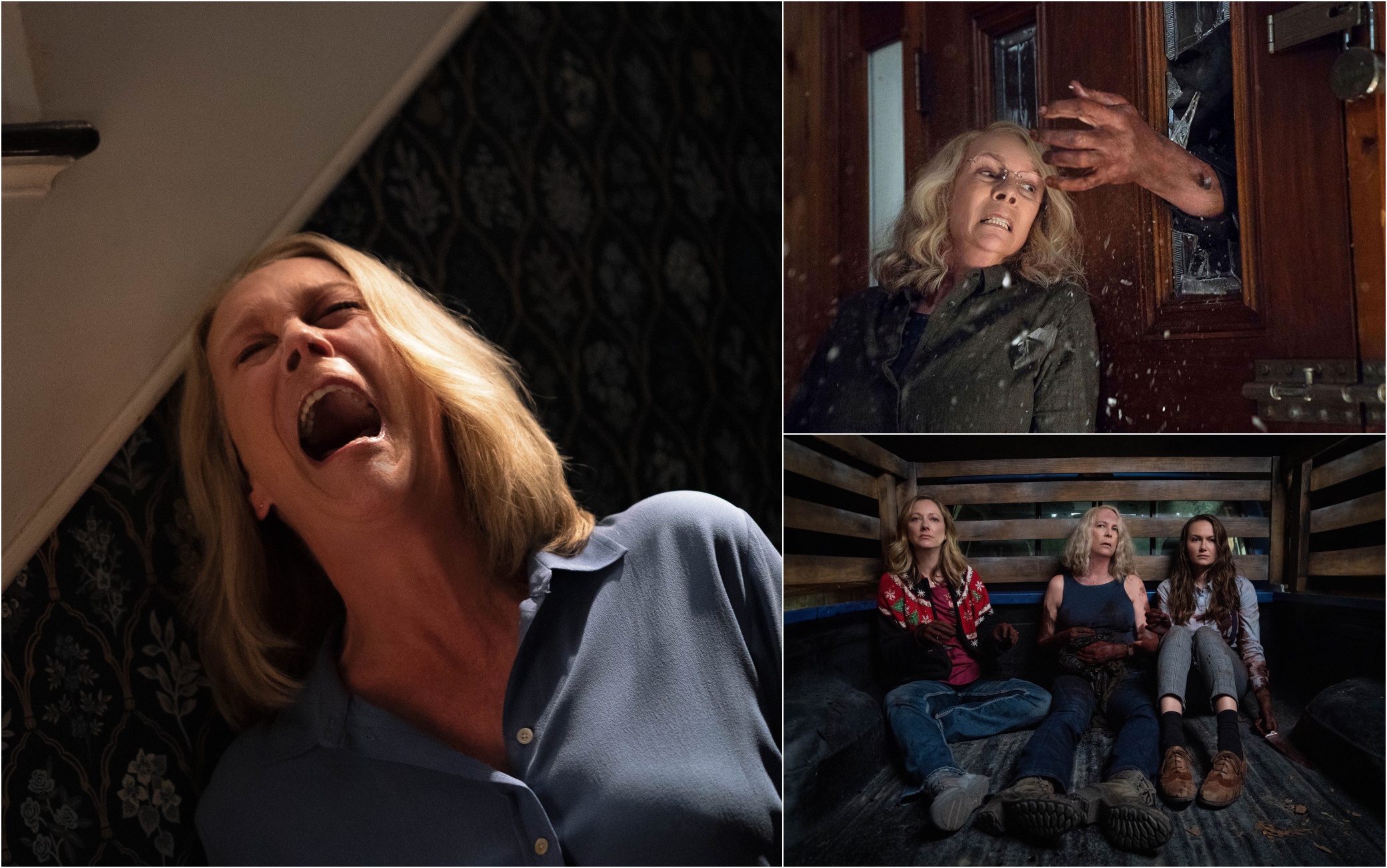 I 65 anni di Jamie Lee Curtis, da Halloween all'Oscar: la carriera e i ...