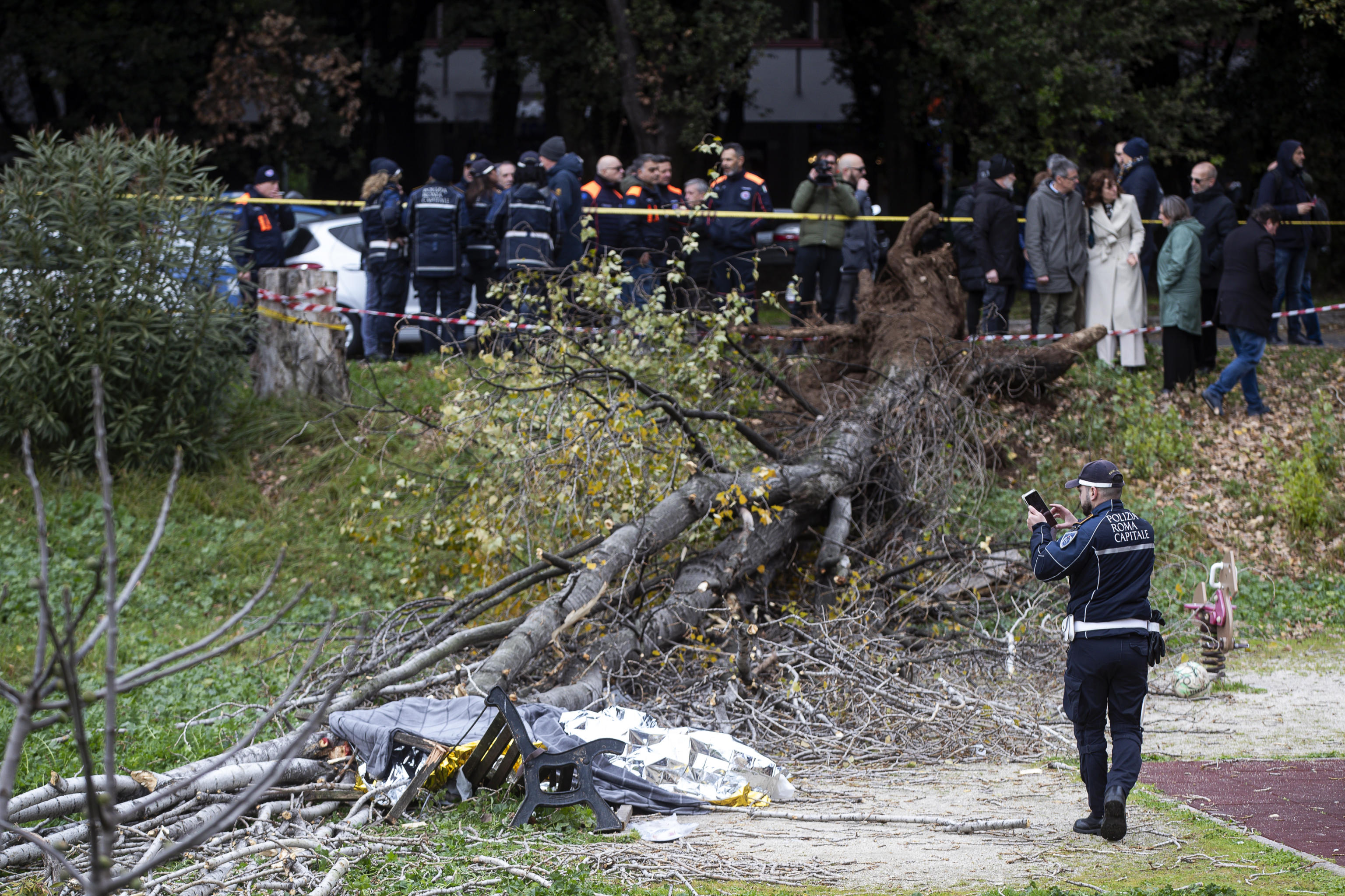 Albero caduto a Roma al parco di Colli Aniene. Foto | Sky TG24