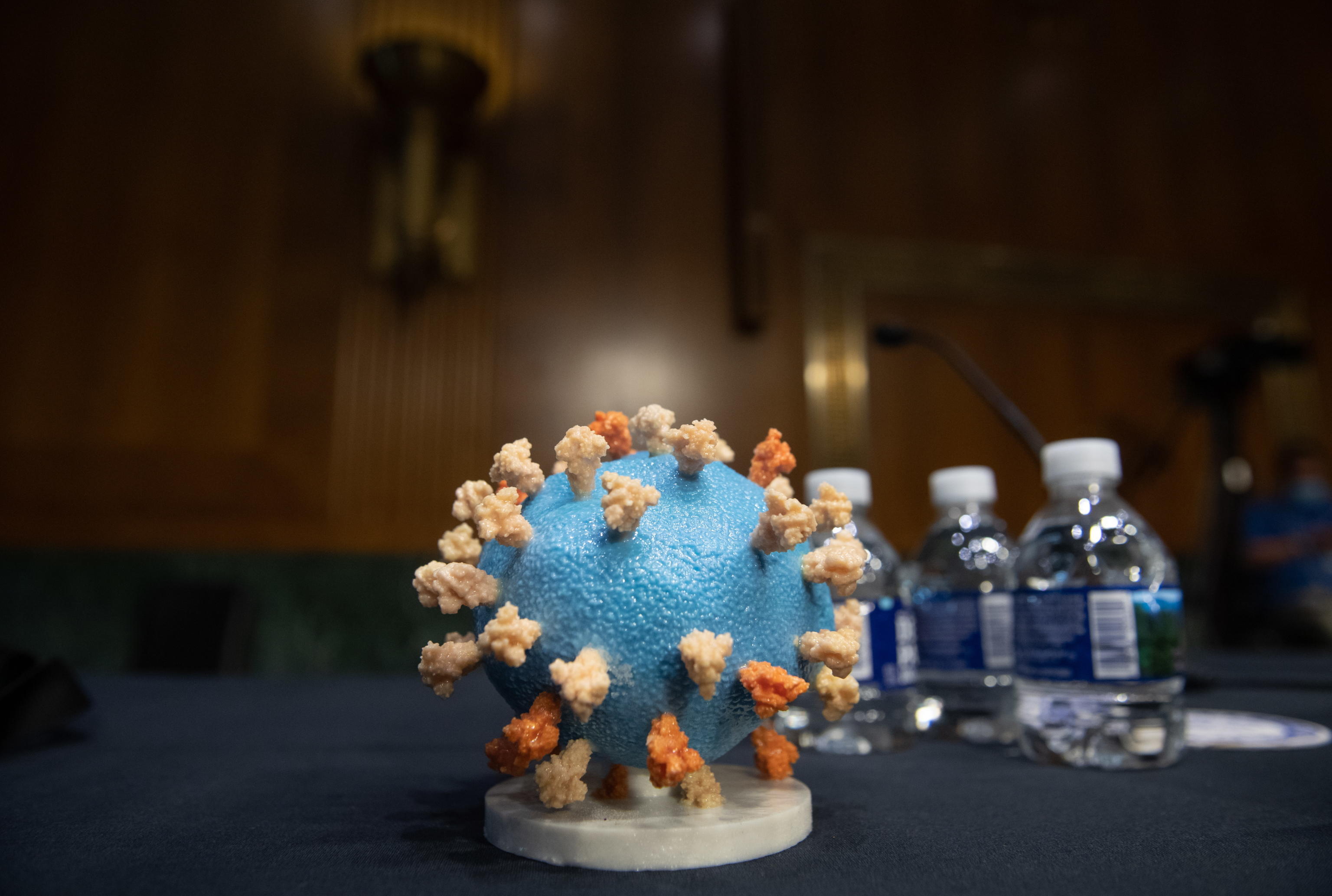 Vaccino contro il Coronavirus, a che punto siamo e le tappe per la cura ...