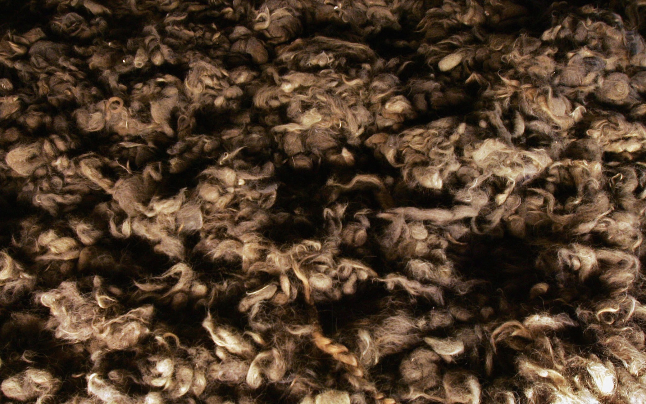 Giornata della Memoria, immagini simbolo dell'Olocausto: da treni della ...