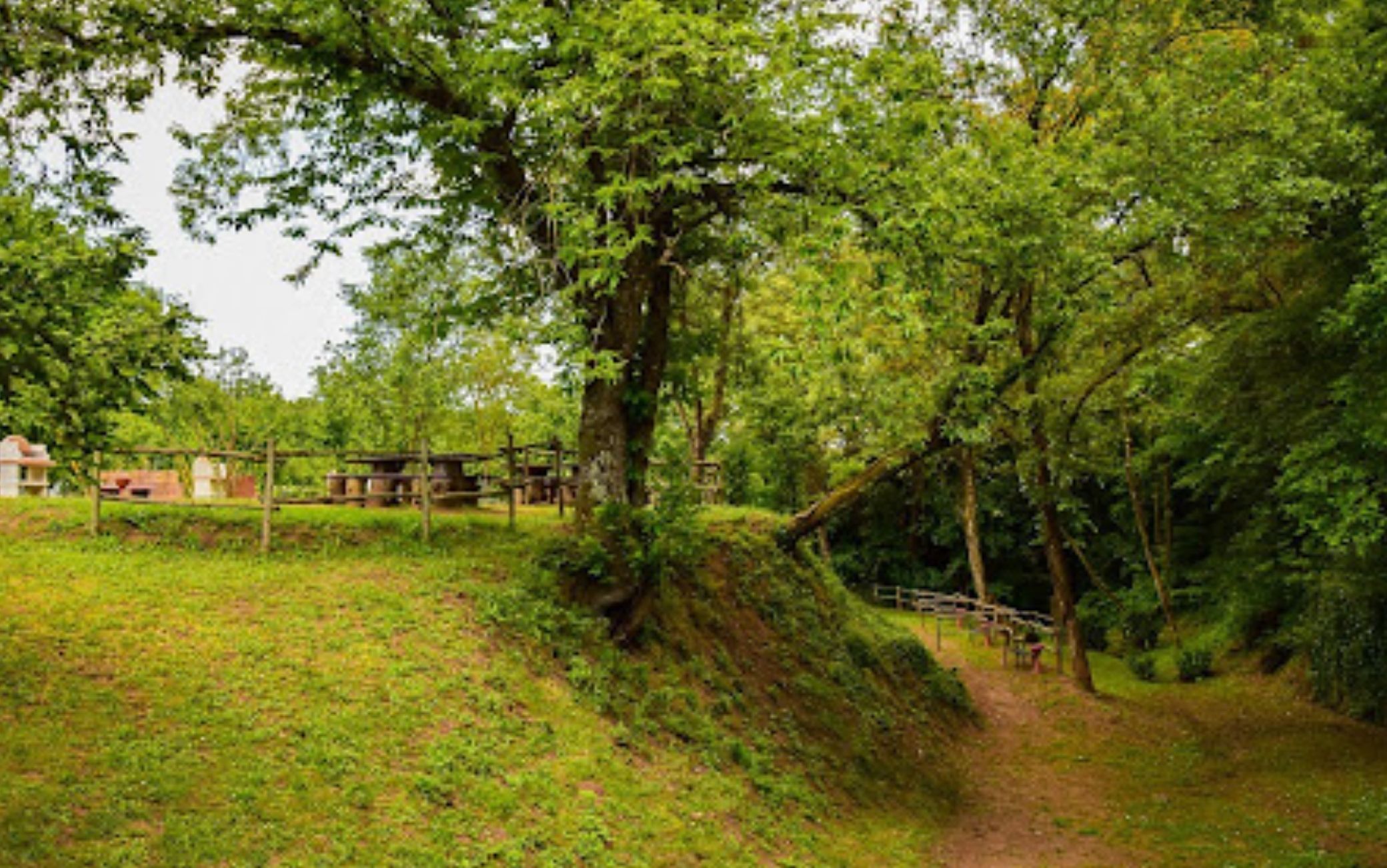 Picnic, le migliori aree attrezzate nei dintorni di Roma in Lazio | Sky ...