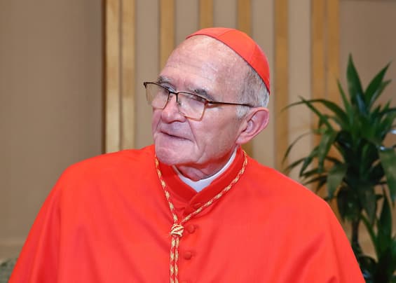 Chi è Stephen Brislin, cardinale che potrebbe essere il successore di ...