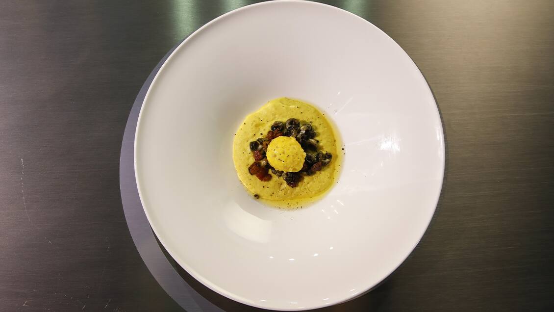 Masterchef: "Tuorlo fritto, lumache di mare e crema di mais" di Sara | Sky