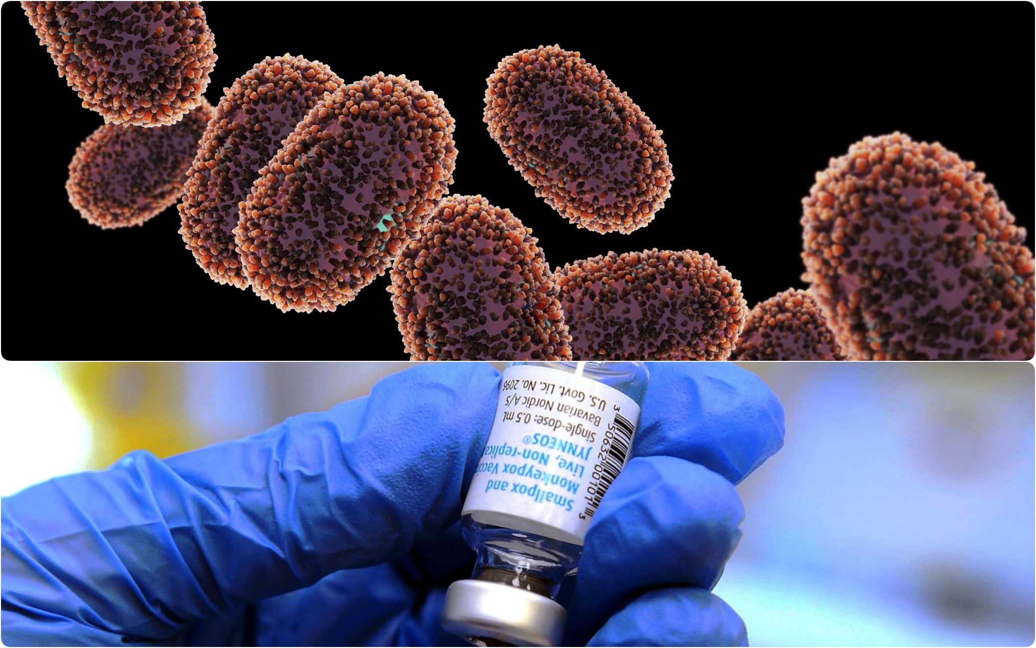 Vaiolo scimmie in Africa, l'Unione Europea dona vaccini per emergenza ...