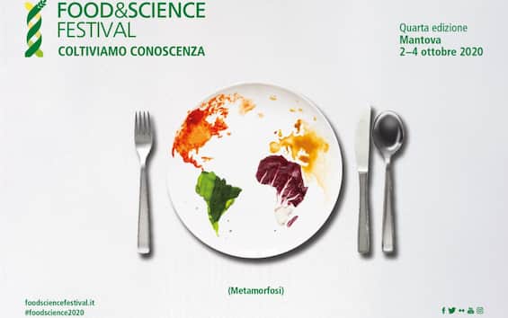 Torna a Mantova dal 2 al 4 ottobre il Food&Science Festival, ecco il ...