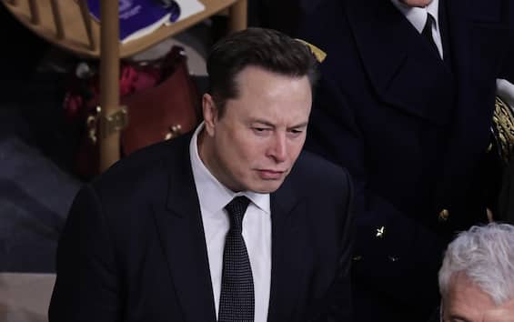 Elon Musk: 'Solo l'AfD può salvare la Germania' | Sky TG24