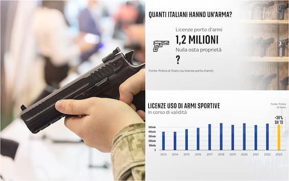 Porto d'armi in Italia, quanti possiedono una licenza? I dati | Sky TG24