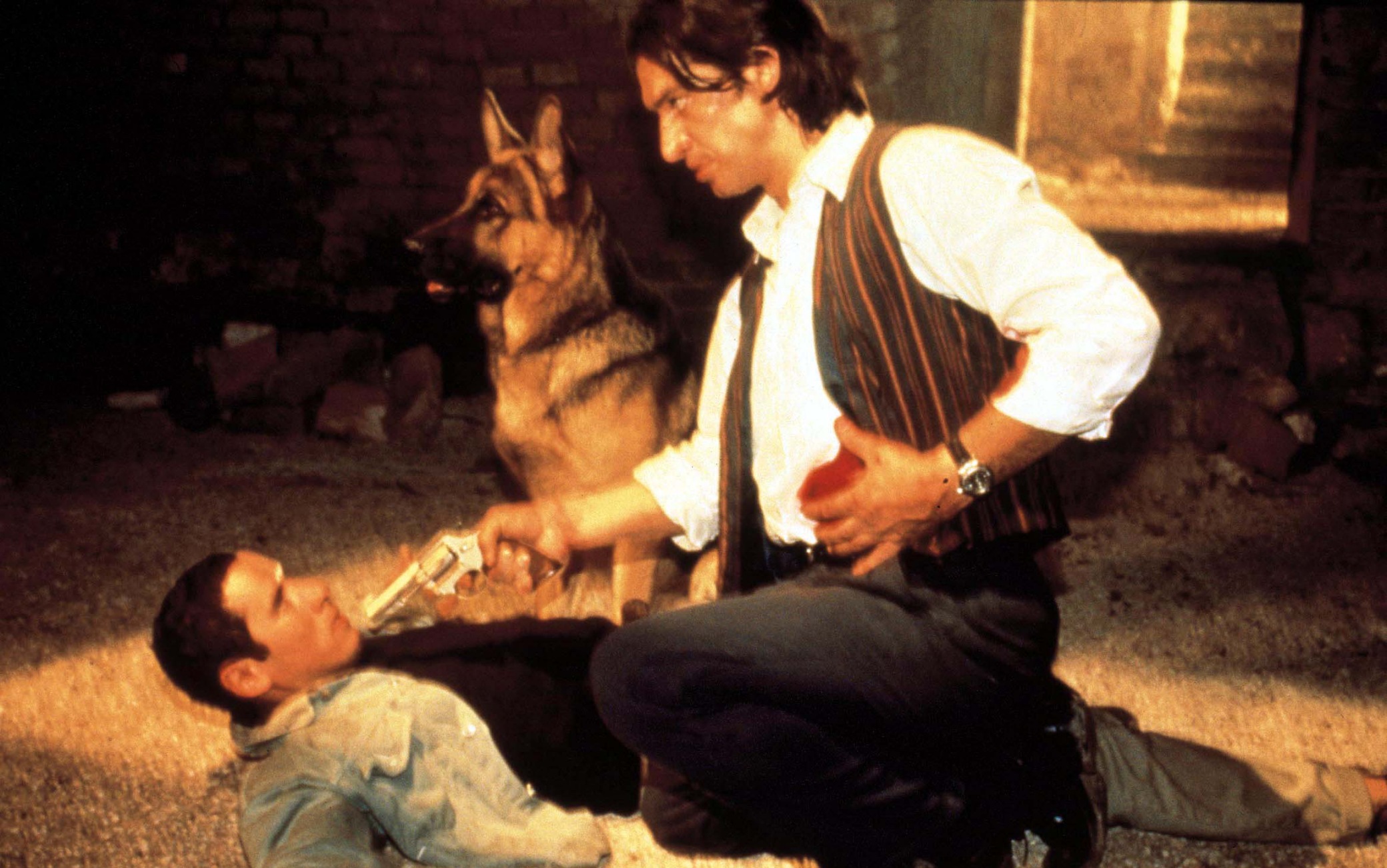 'Il Commissario Rex', 30 anni fa il debutto della serie tv cult: 11 ...