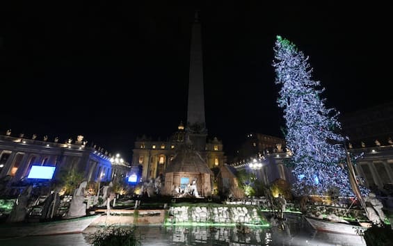 Roma, l'albero di Natale e il presepe in piazza San Pietro. FOTO | Sky TG24