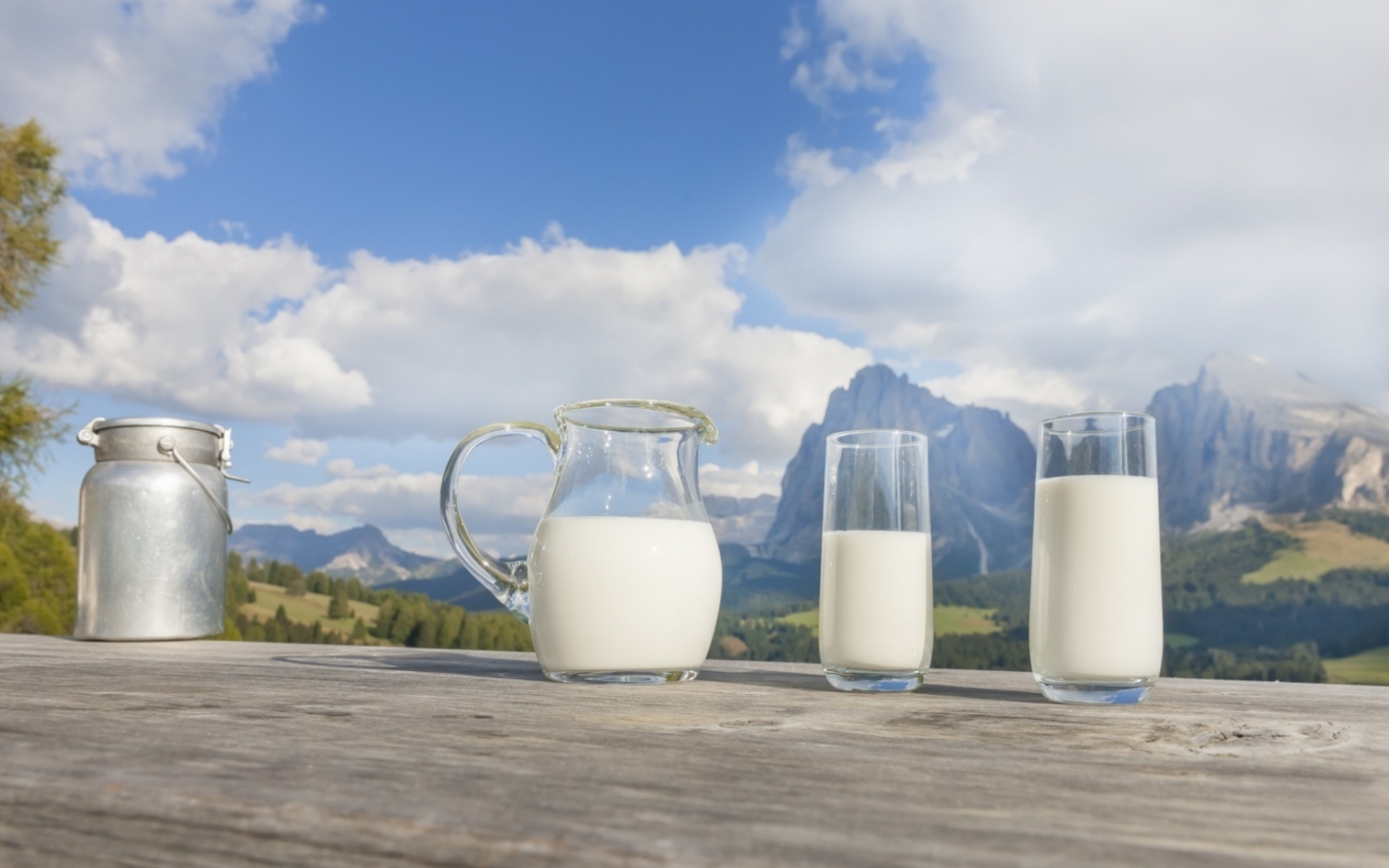 Latte, quali sono le 8 migliori marche secondo Il Salvagente. La ...