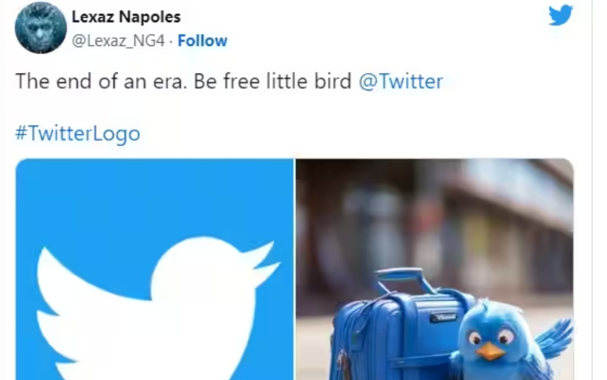 I migliori meme virali sui social nel 2023. FOTO | Sky TG24