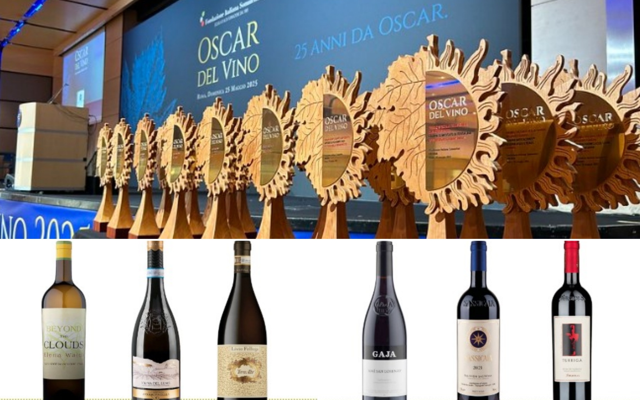Vino, arriva la guida The WineHunter Award 2025: ecco la top 100 | Sky TG24
