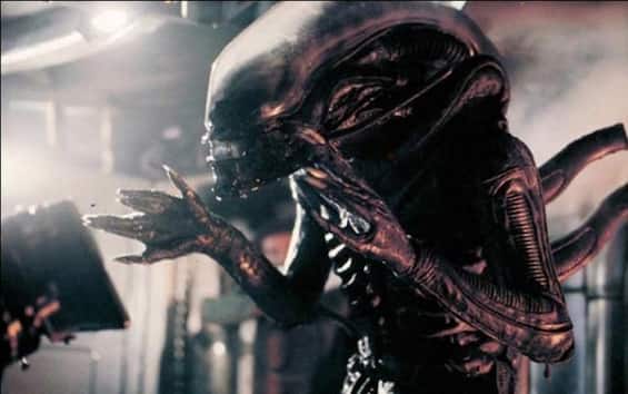 Il ciclo vitale di Alien, tra scienza e fantascienza | Sky TG24