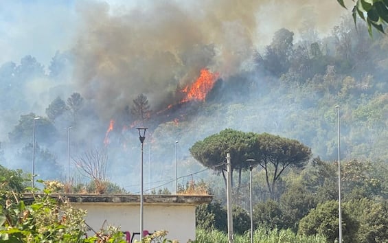 Roma, incendio a Monte Mario accanto al Tribunale di piazzale Clodio ...