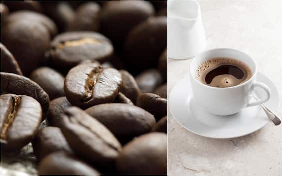 Caffè, prezzo in aumento: clima e speculazioni tra le cause | Sky TG24
